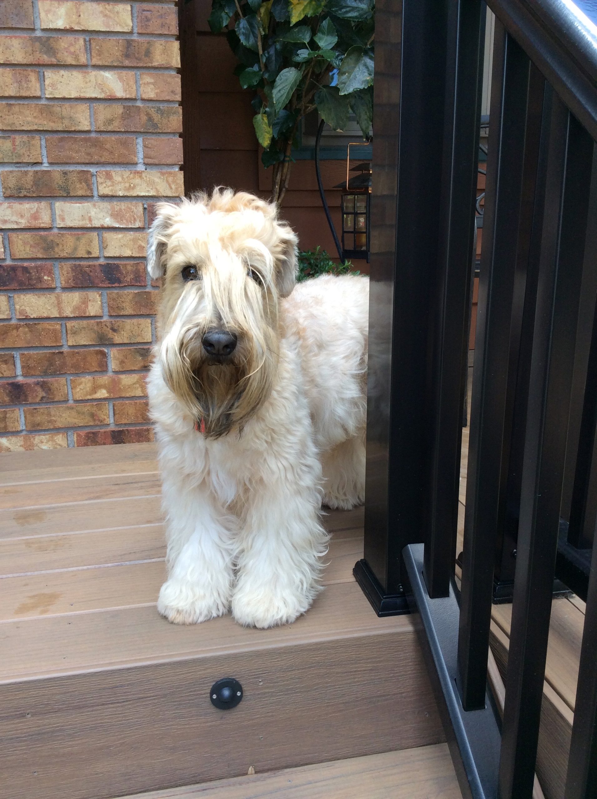 In The Deep – Erickson Media